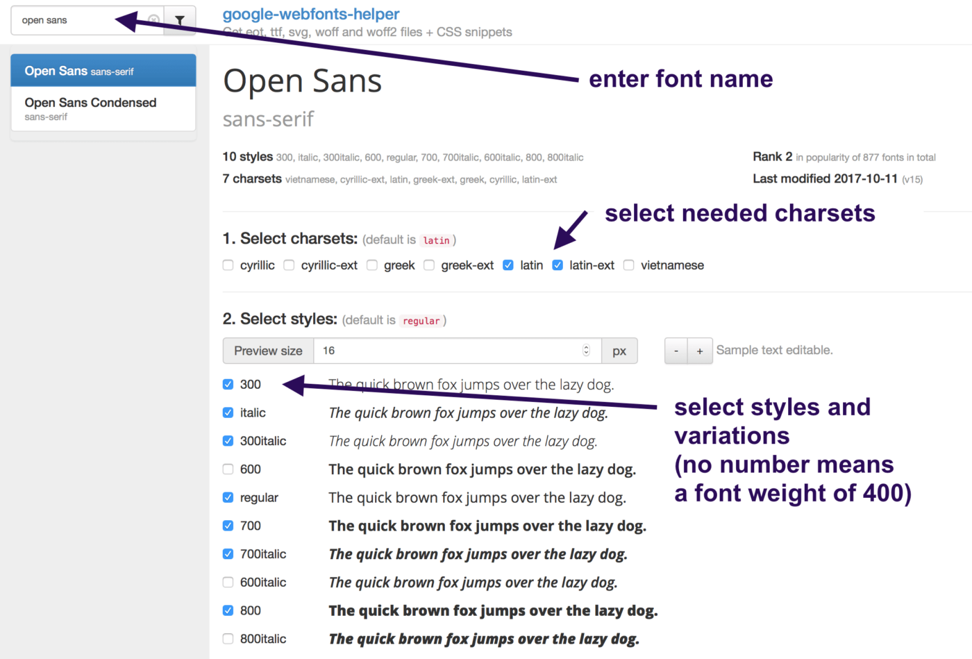 How To Load Google Fonts Locally | ElmaStudio