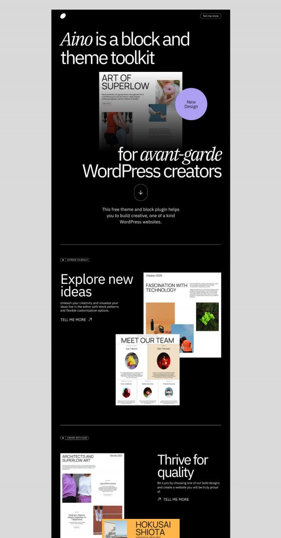 Aino Theme und Blocks-Plugin Roadmap | ElmaStudio
