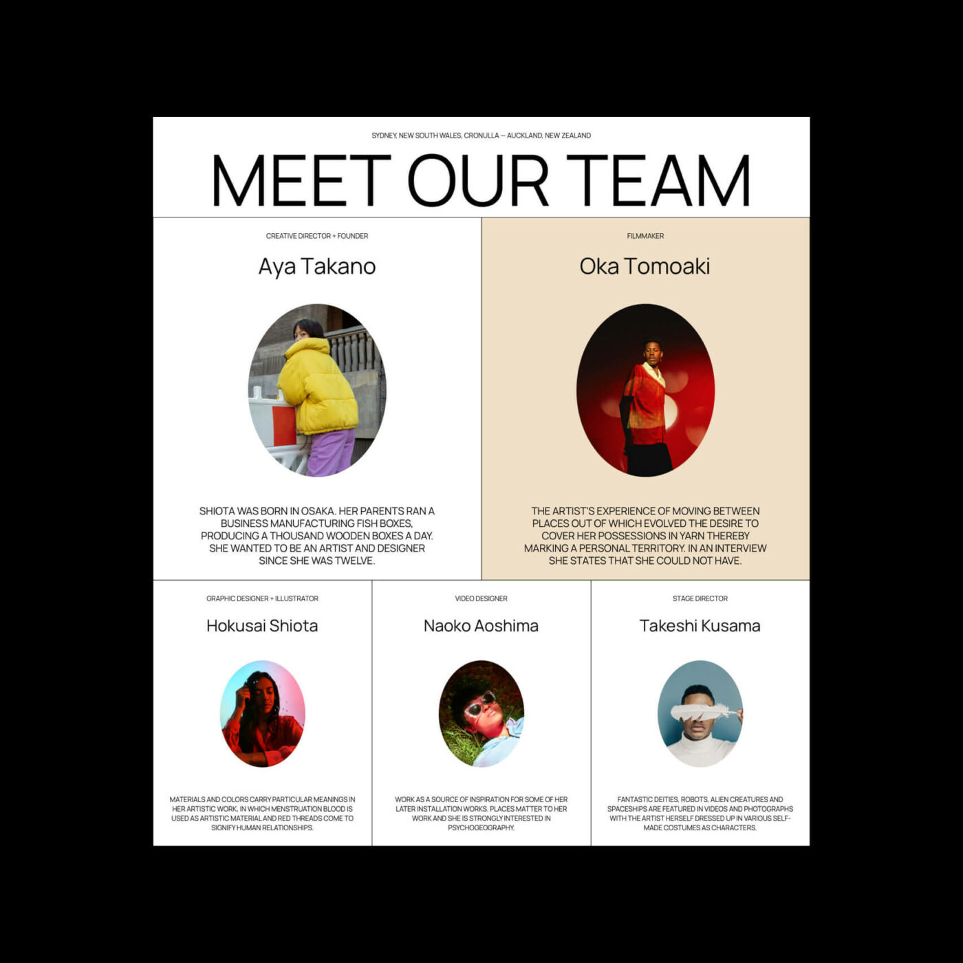 Aino Theme and Blocks Plugin Roadmap | ElmaStudio